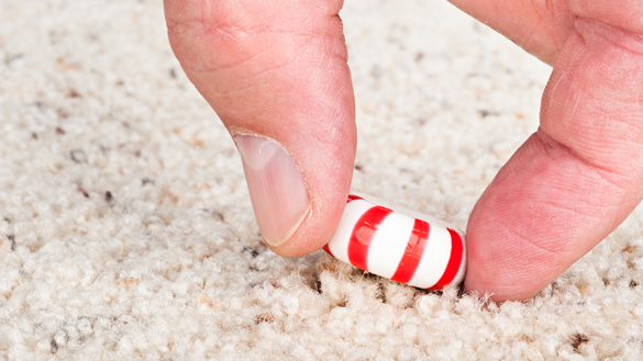 Is there any truth behind the ‘five-second rule’? – FHT Blog
